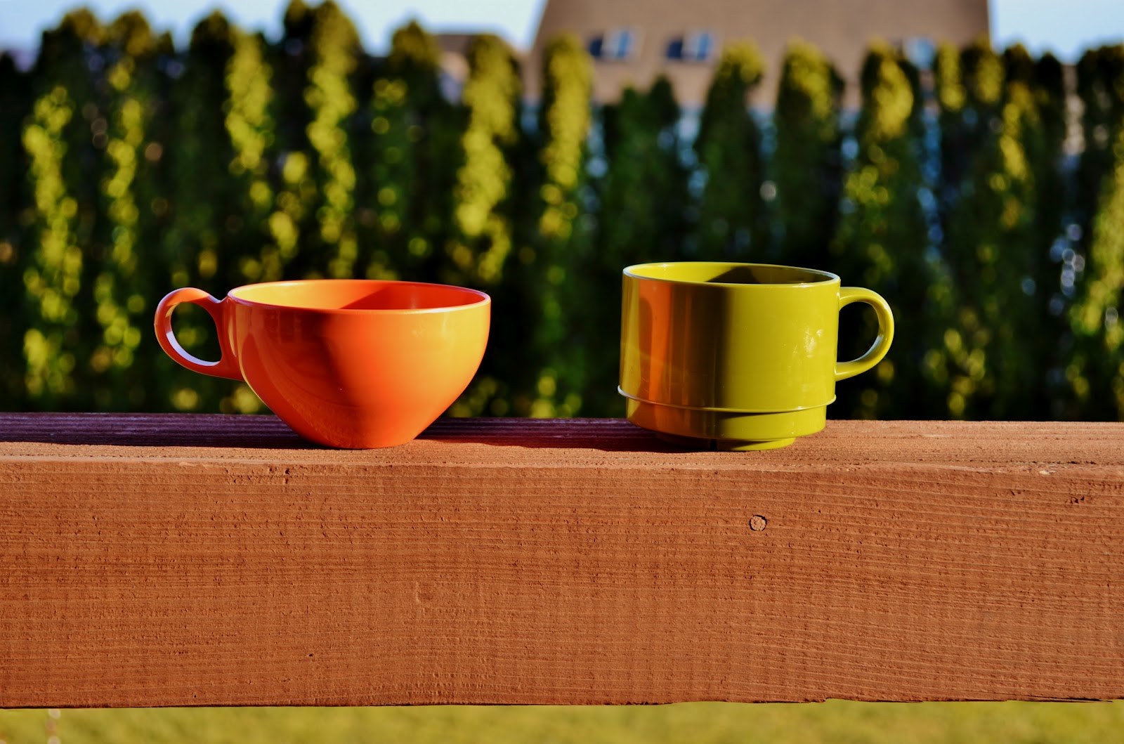 Thrifting Through Life: Hope Chest: Plastic Cups