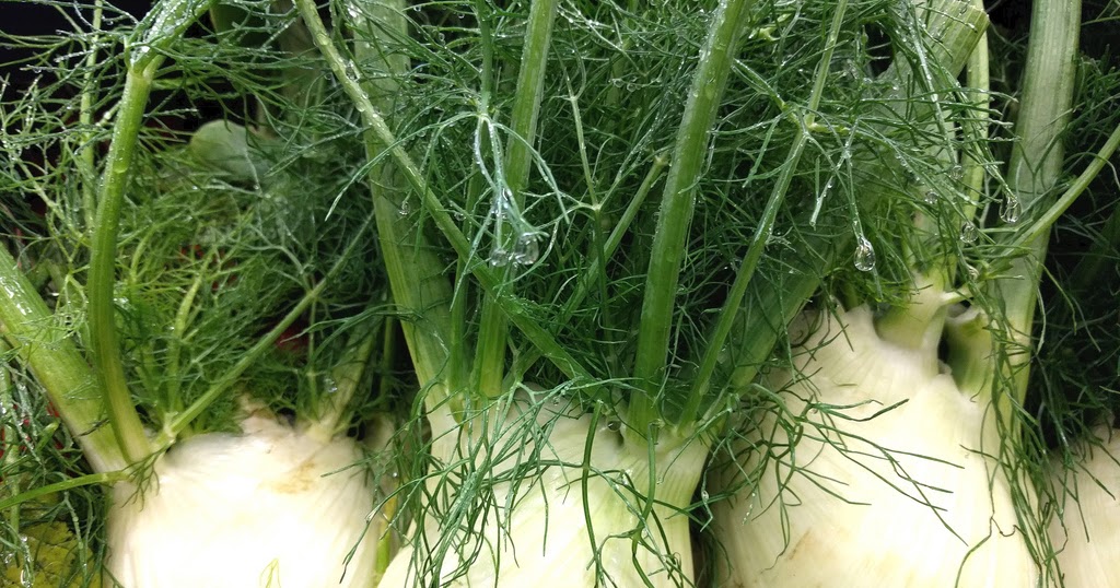 Conheça os benefícios da erva-doce, o produto da semana (4/9)