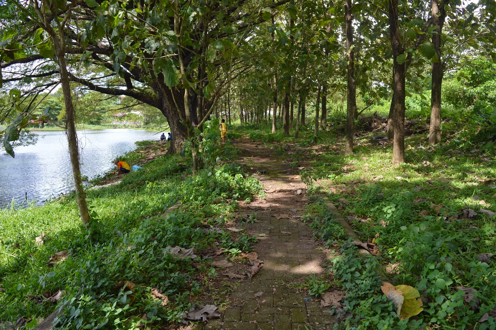 mozaik arsitek : Pesona Danau UNHAS