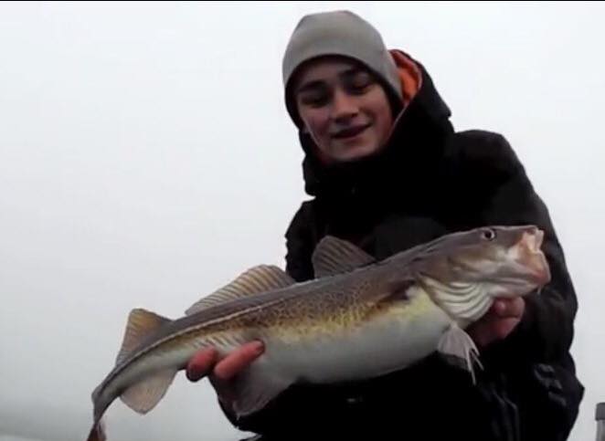 Sundfisker.dk - Blog : Torskefiskeri i Københavns havn