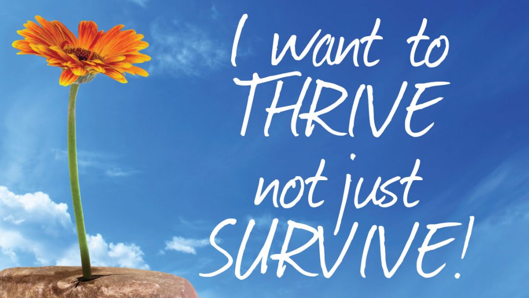 Thriving or surviving organizations ~ Gente de Recursos