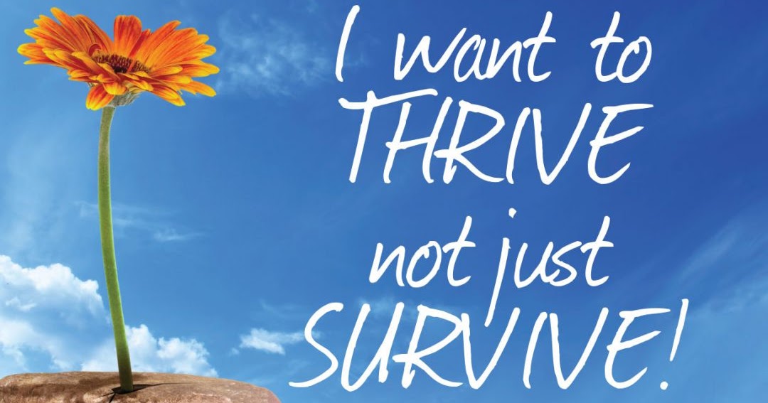 Thriving or surviving organizations ~ Gente de Recursos