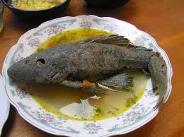 LUGARES TURISTICOS DE TINGO MARIA: COMIDAS