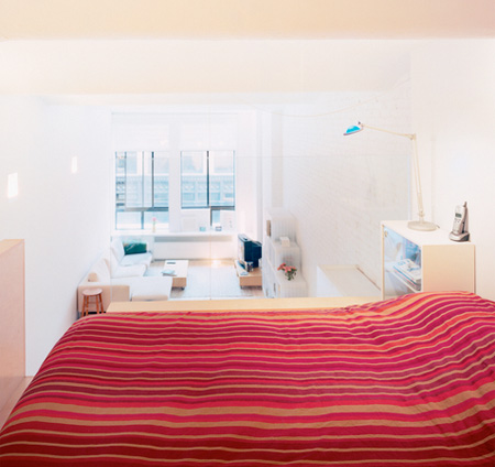 The Incredible Stuffs: Awesome apartment with limited space in New York