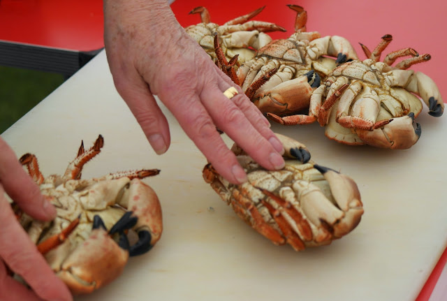 Me and my shadow: Cromer and Sheringham Crab and Lobster Festival