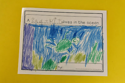 ABC's and Polka Dots: "Life in an Ocean" extension activities