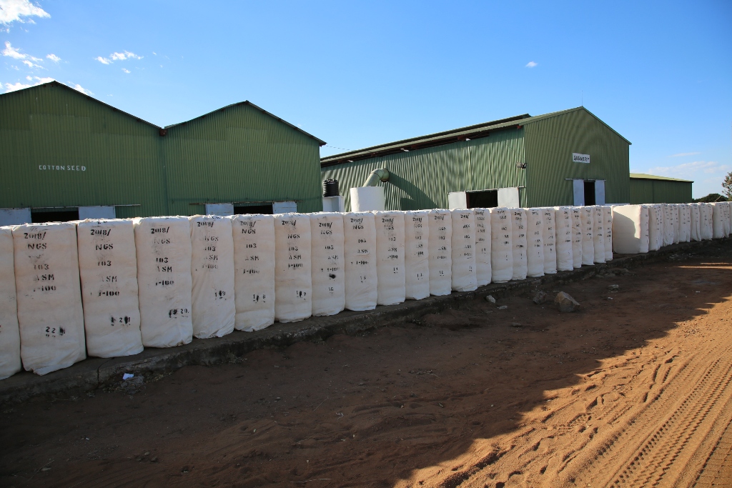 KILIMO CHA PAMBA KUNOGESHA MAPINDUZI YA VIWANDA - SOMA LATEST