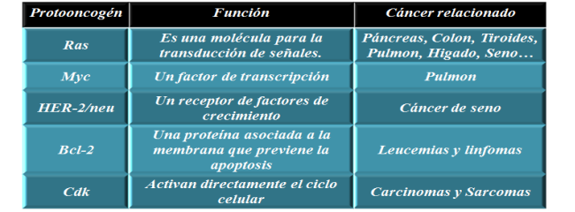 BASES MOLECULARES DEL CÁNCER: 4. Mecanismos 4a. Mecanismos de los ...