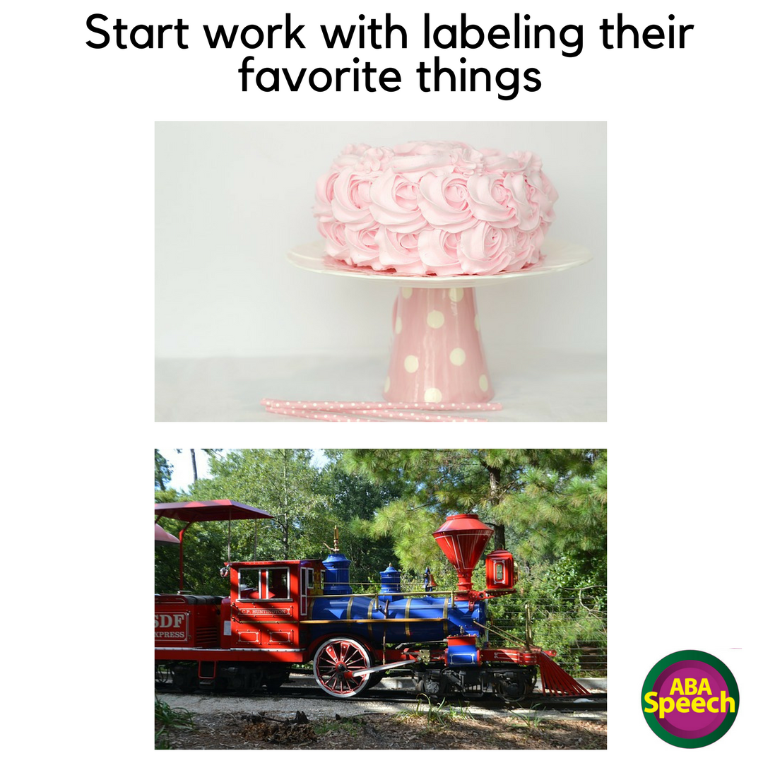 Expressive language skills- labeling - ABA Speech