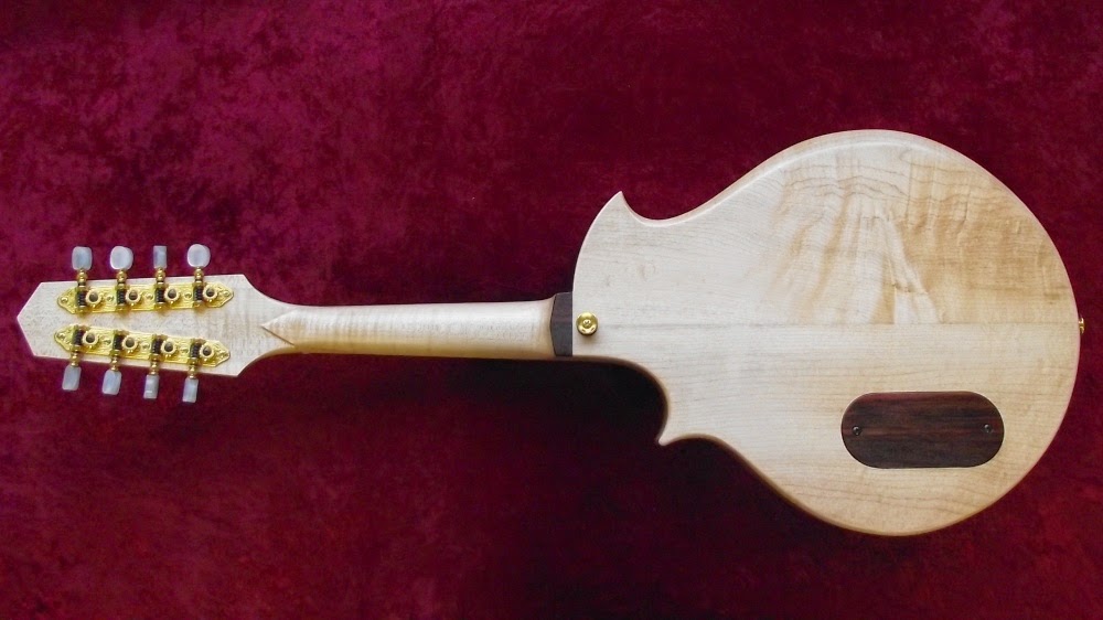 A Luthier's Blog: E-Mando (Electric Mandolin) Design