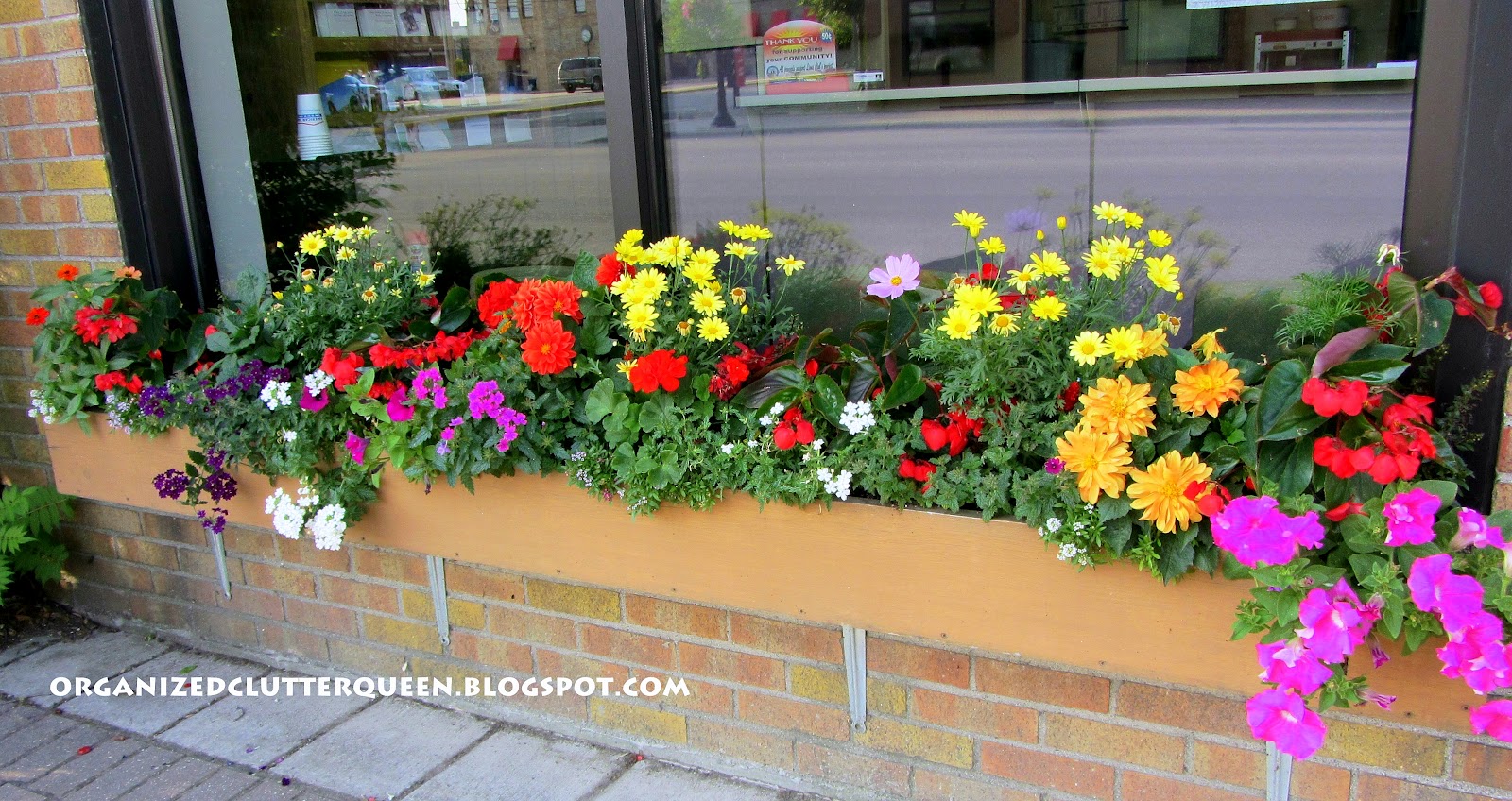 The Prettiest Window Box in Town - Organized Clutter