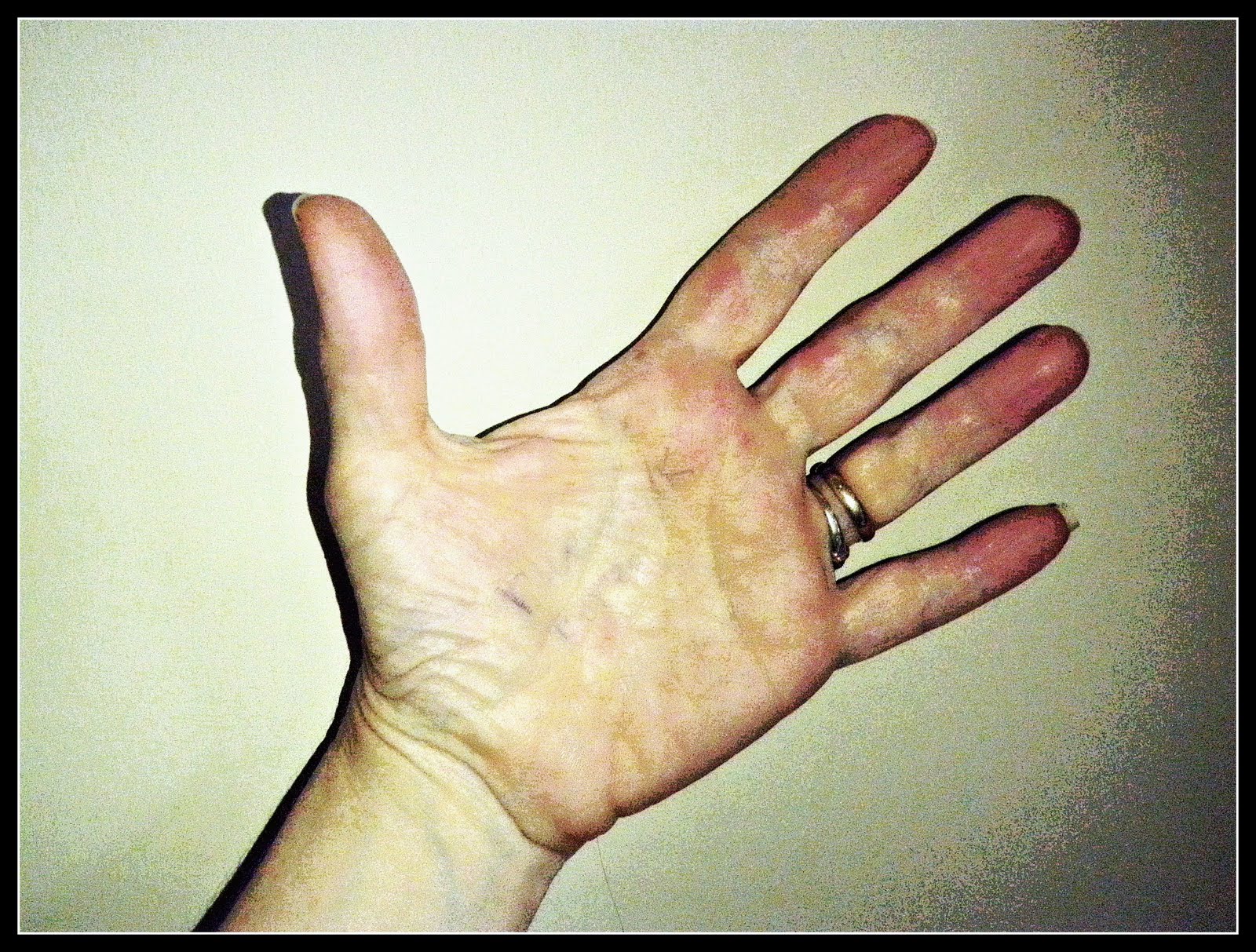 Musings from Graceland