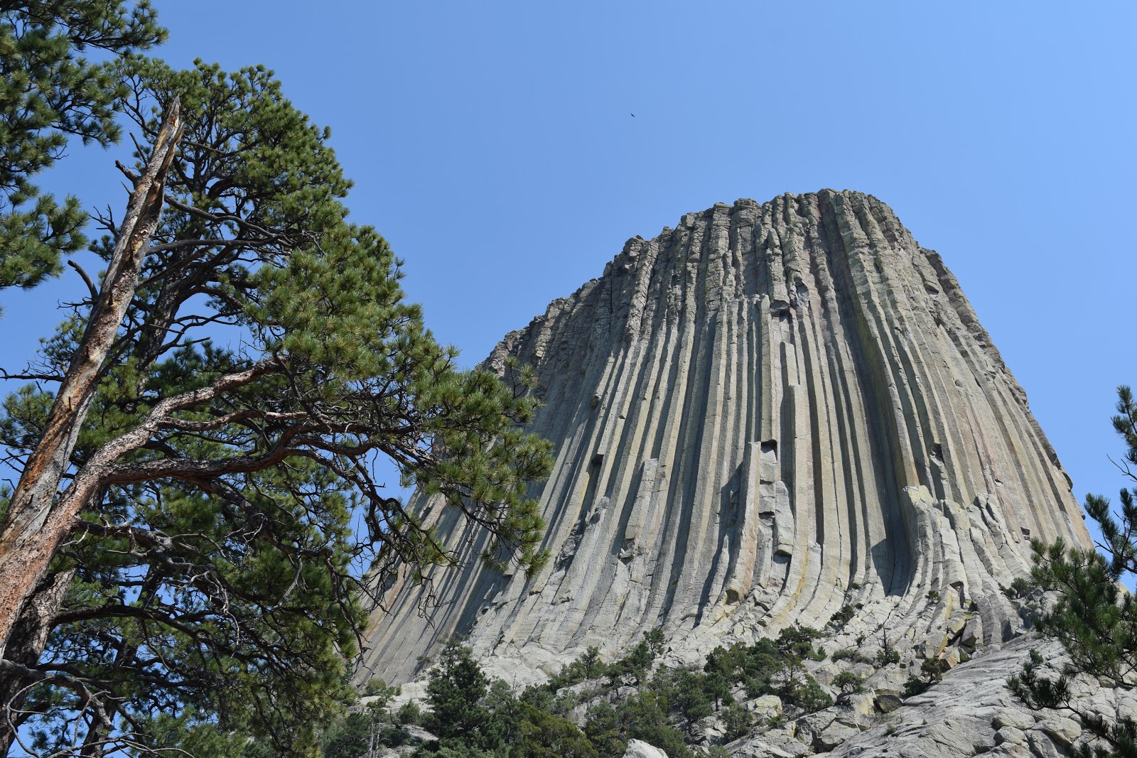 HappiLeeRVing: A Close Encounter with Devils Tower, Wyoming