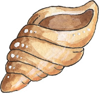 dibujos conchas de mar imprimir | Imagenes y dibujos para imprimir