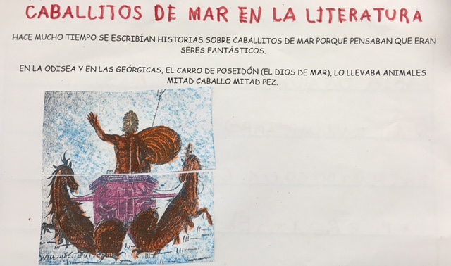 Little Big Heroes: PROYECTO...¡CABALLITOS DE MAR!