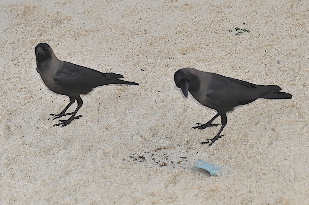 All Categories - franchiseinstruction