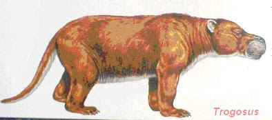 Escenarios prehistóricos: Trogosus