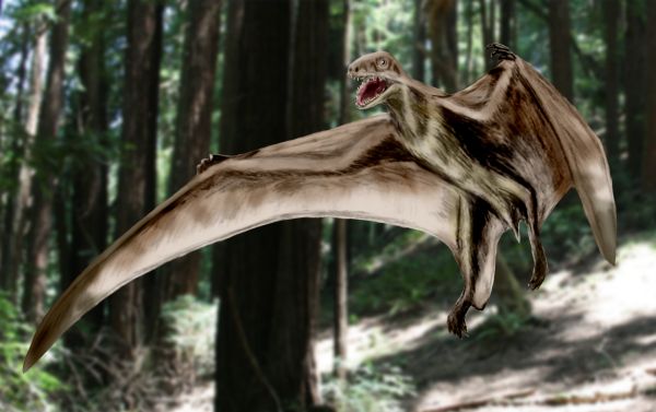 Escenarios prehistóricos: 09/21/11