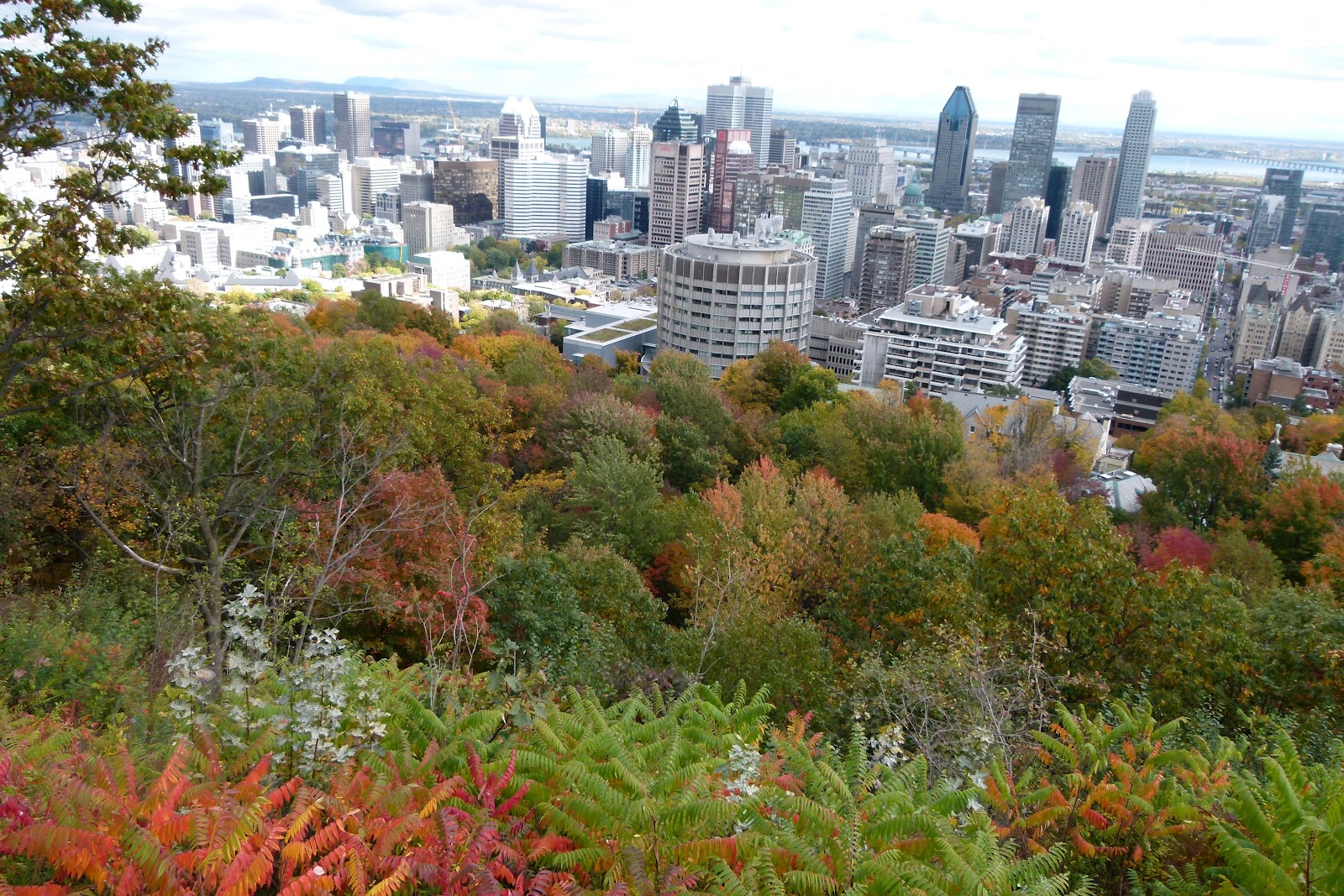 Notre année québécoise: Le MONT ROYAL en Automne