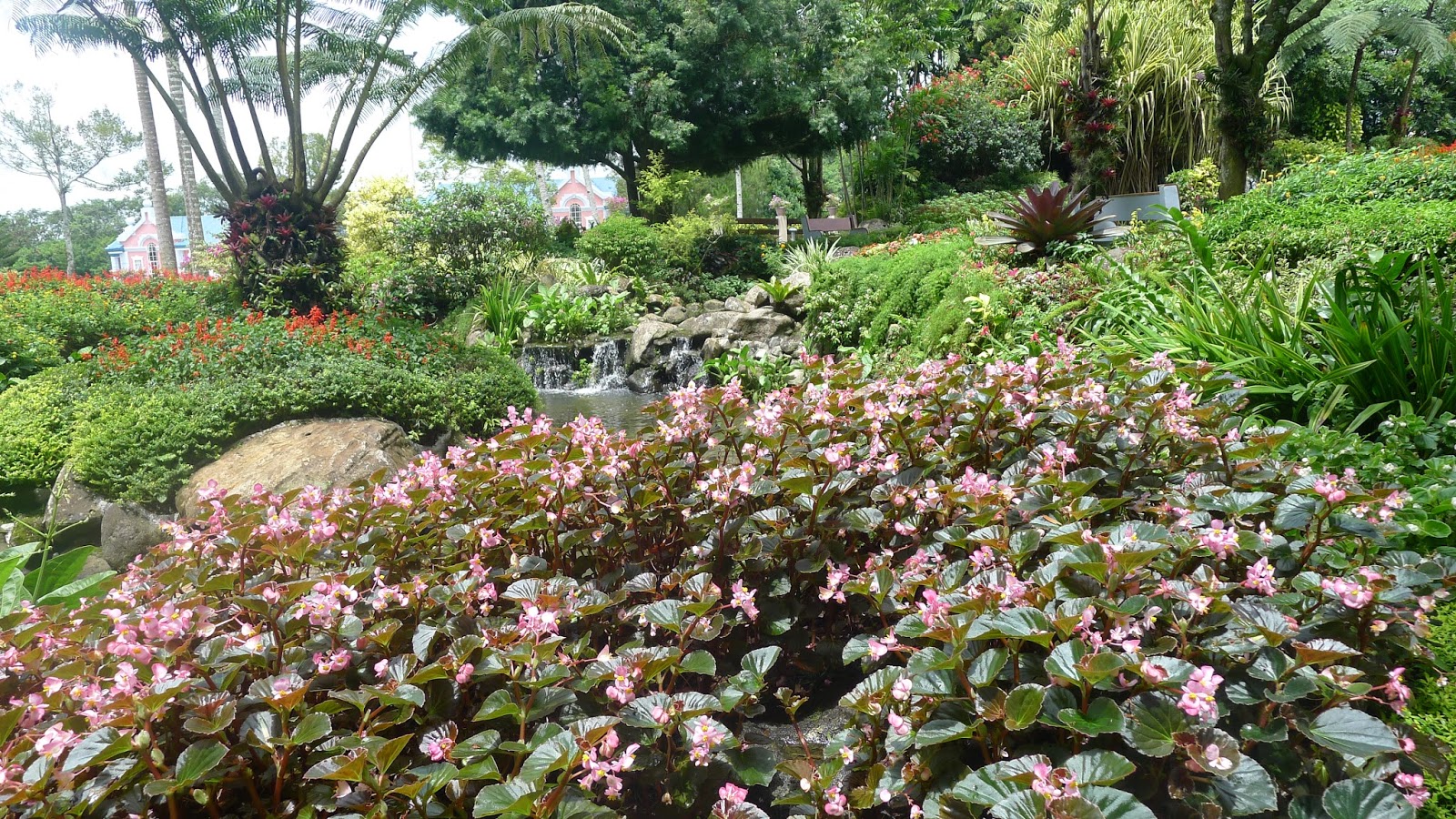 Ms. Jhessy Wandering Free: Tamayong Prayer Mountain (Davao's Garden of ...
