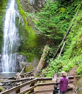 Sandy Byers ... paintings of my life