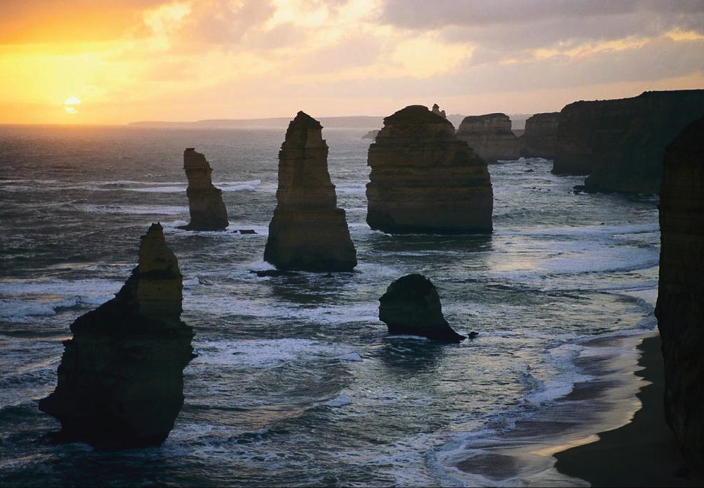 In the Company of Plants and Rocks: Creatures of Stone II -- genesis