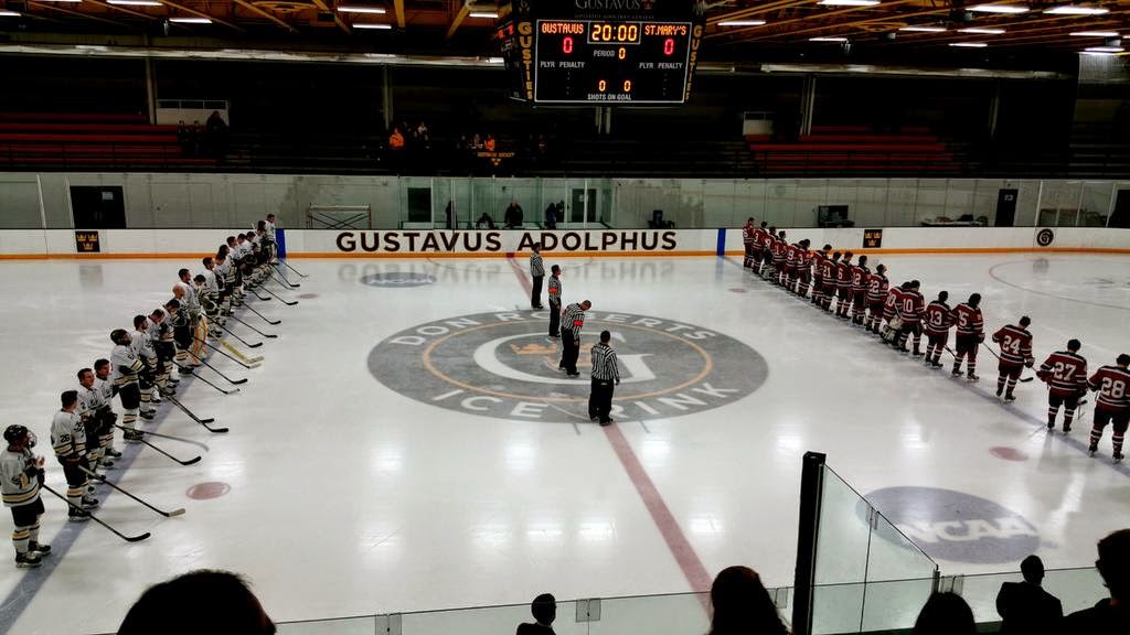 She Shoots, She Scores: Hockey Style: Cardinal Hockey Recap: Playoff Push
