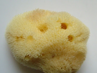 Feelin Kinda Crunchy: Jade & Pearl Sea Sponge Tampon Review