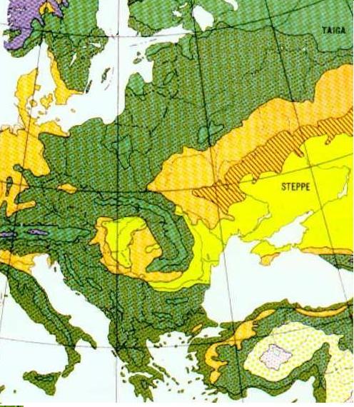 Slavic Landscapes: Vegetation Zones of Central and Eastern Europe (1)
