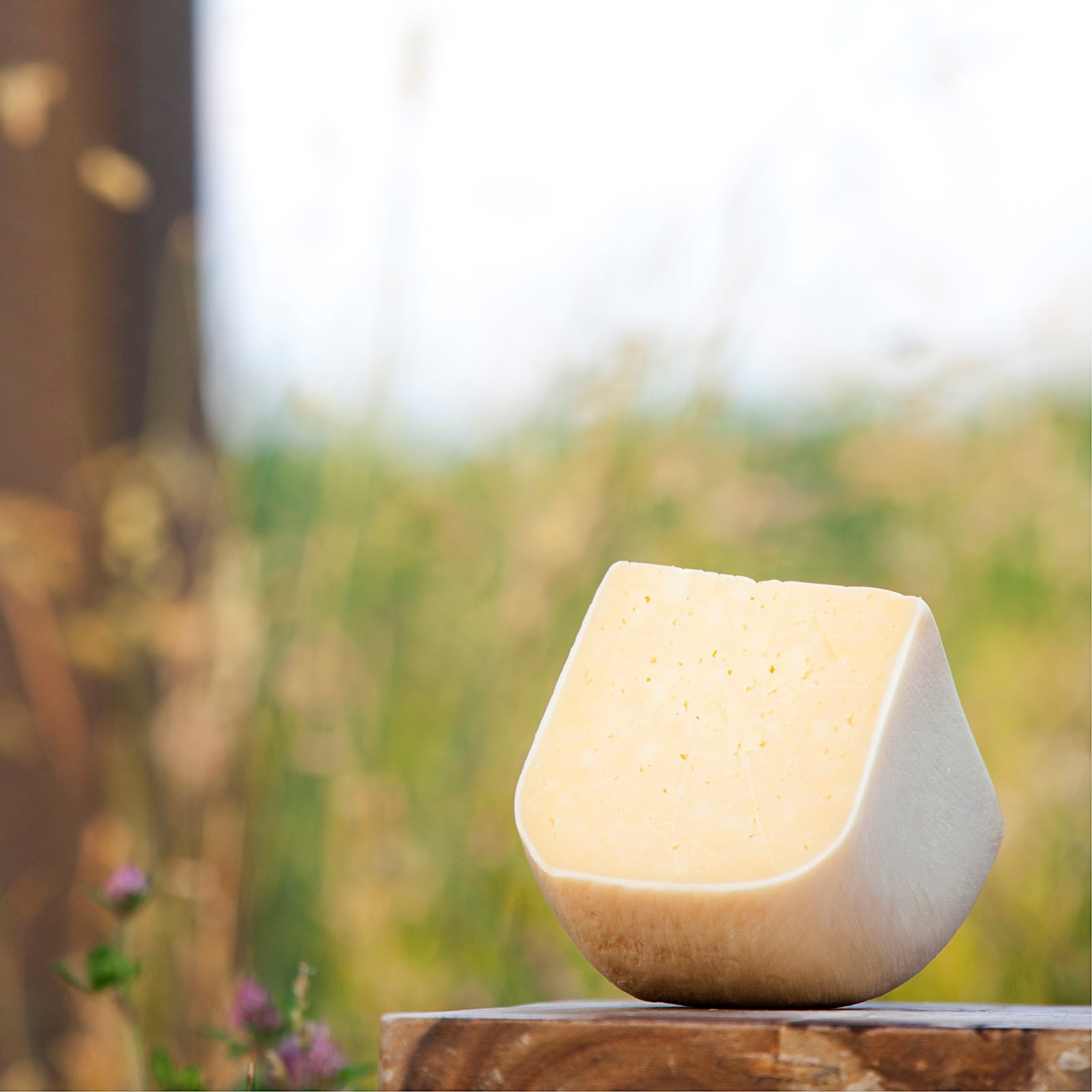 Thoughtful Provenance: Kenny's Farmhouse Cheese