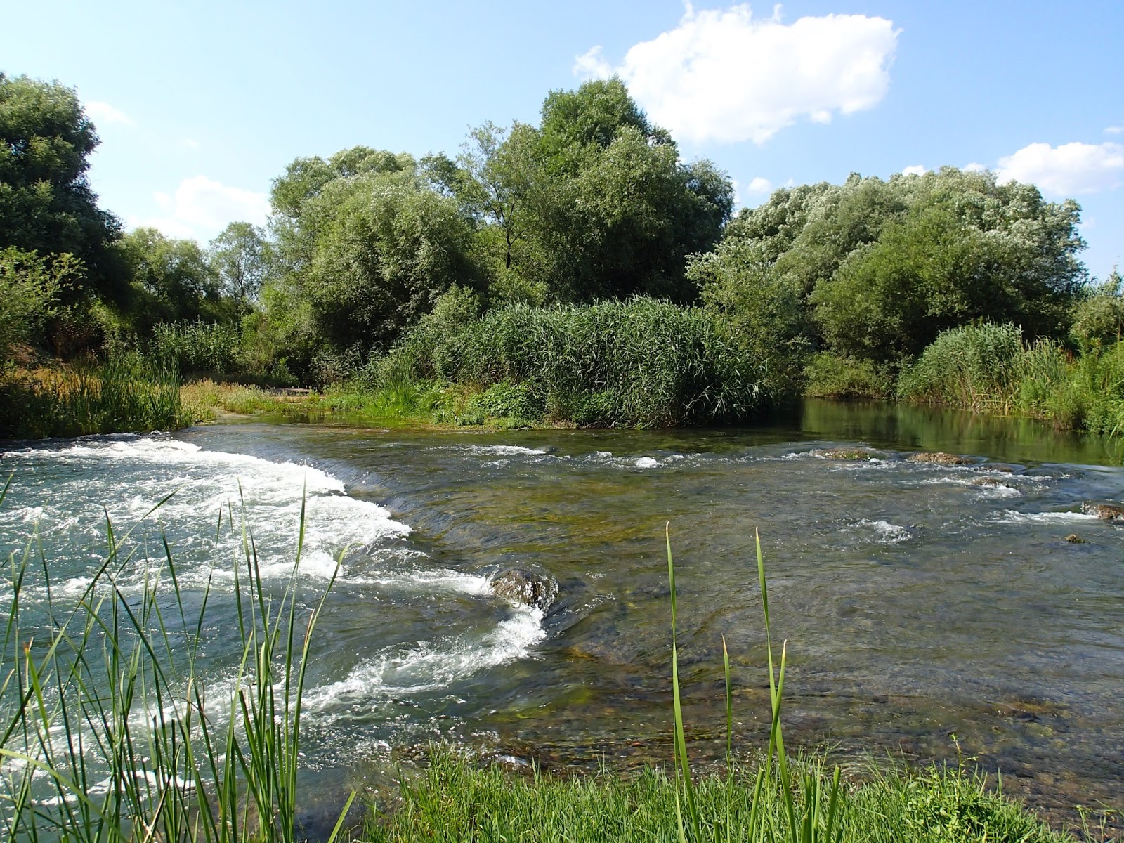 Athens Nature Journal: Evrotas River Delta: Natura 2000 habitat mapping