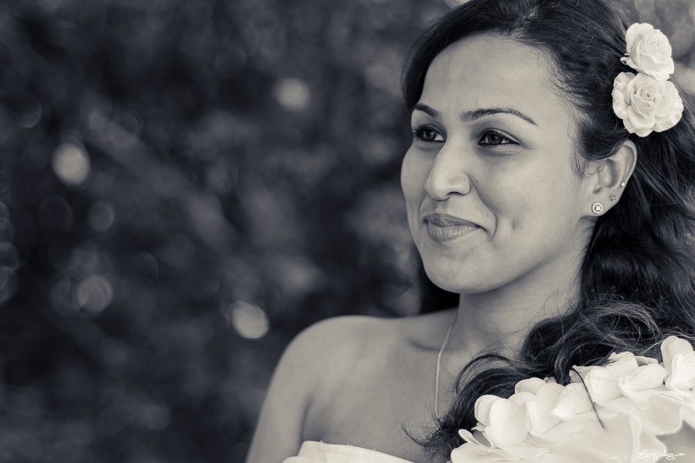 A View From The Lens