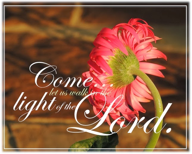 Finding Joy in an Ordinary World: Isaiah 2:5