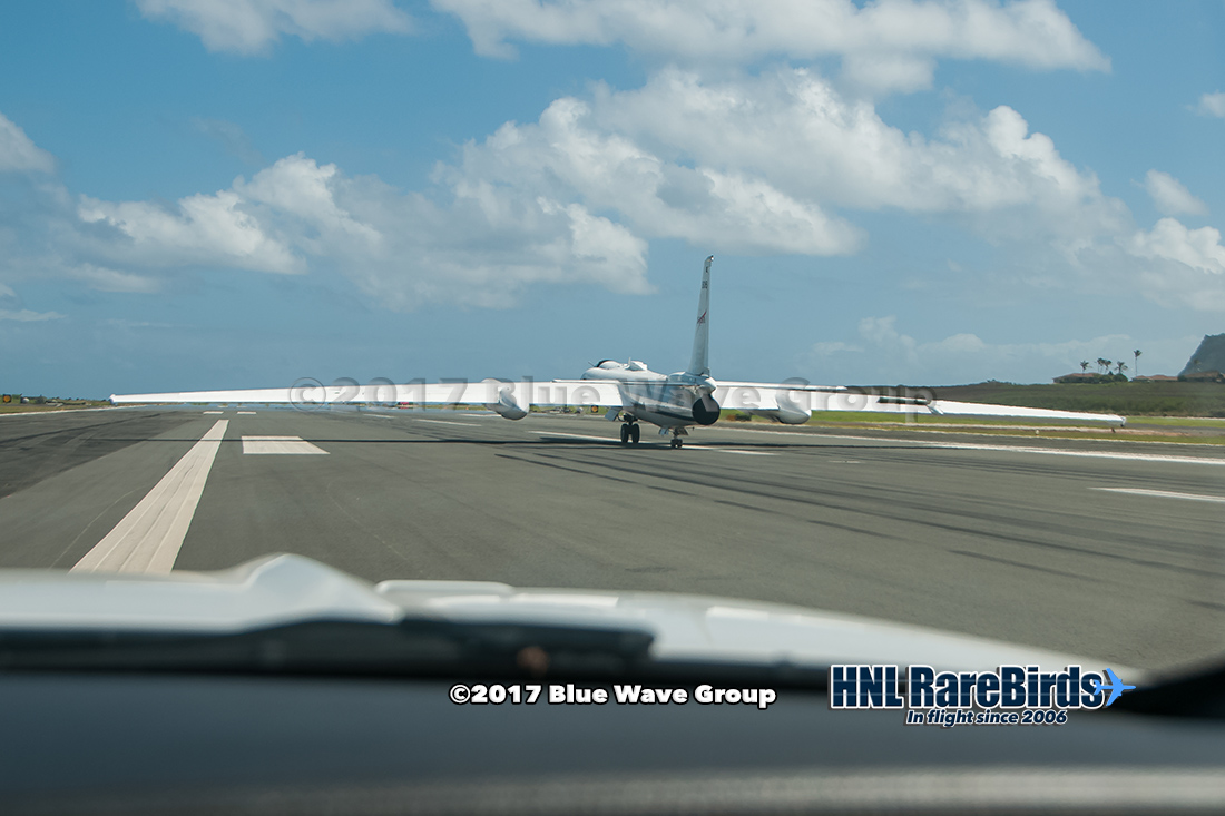 HNL RareBirds™: February 2017