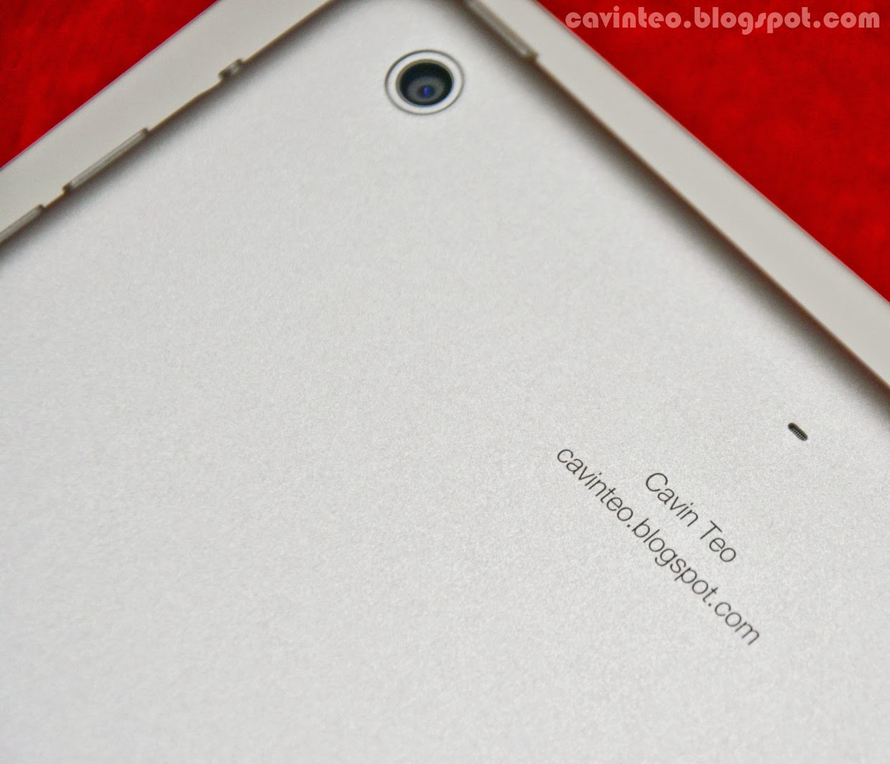 Entree Kibbles: A New Toy in the House - iPad Mini!