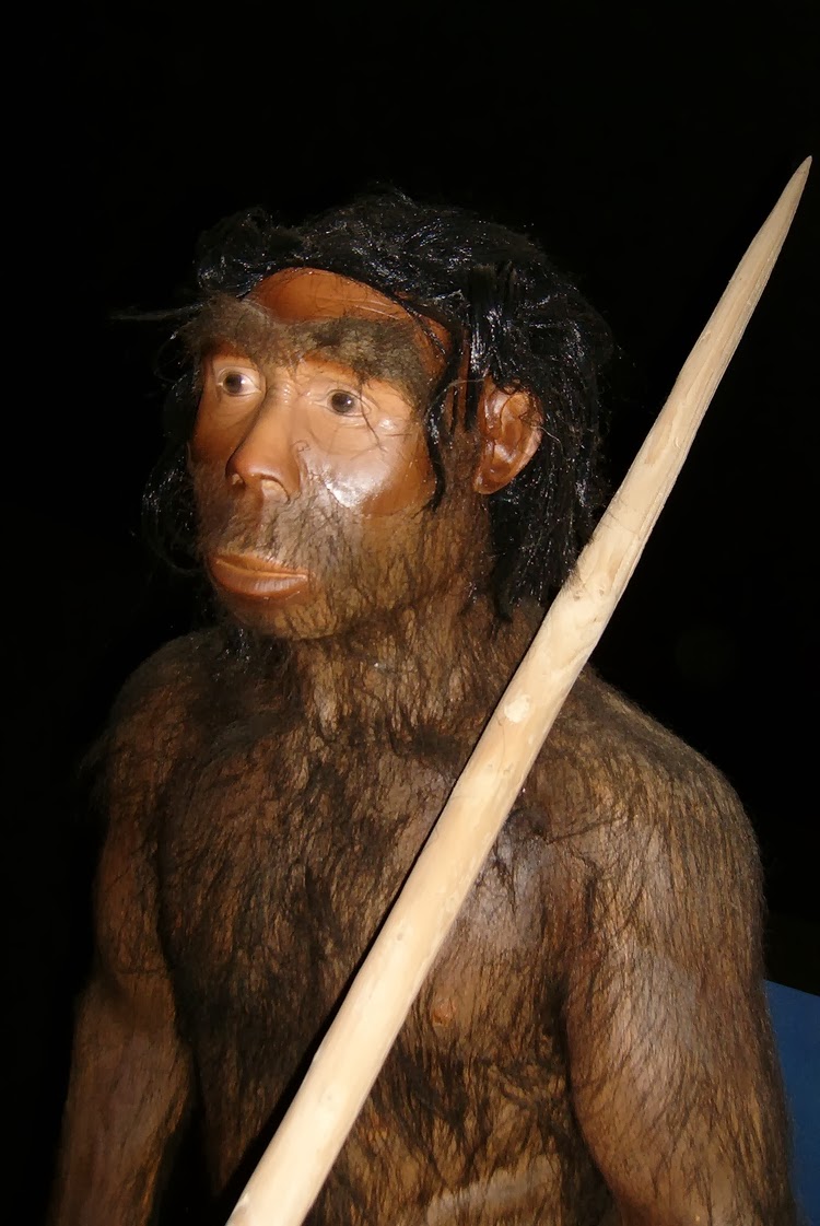 SEJARAH KITA: TEMPAT-TEMPAT PENEMUAN FOSIL MANUSIA PURBA