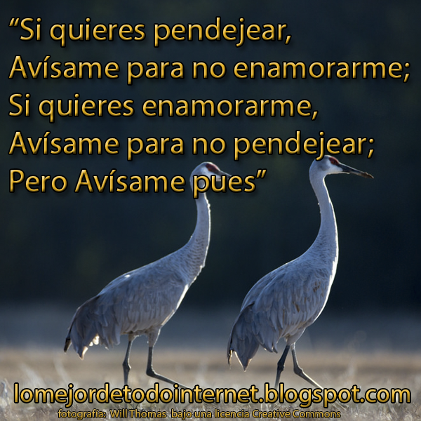 Lo mejor de todo Internet: Avísame!!!