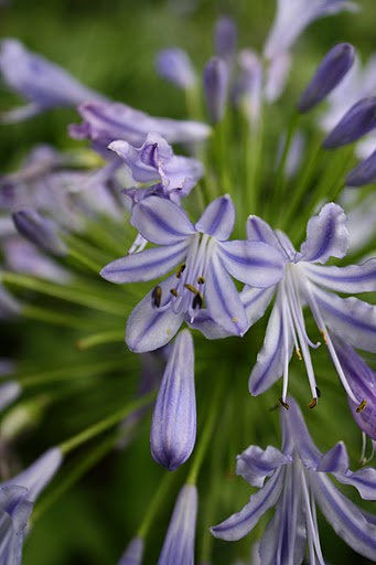 La Rochelle Mutare Zimbabwe | La Rochelle Mutare Zimbabwe