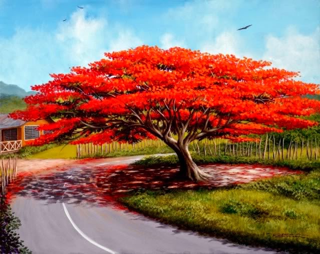 Andy foto natura: Arboles hermosos