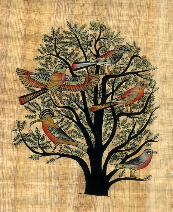 Sacred Geometry: Tree of Life | MistisFiles