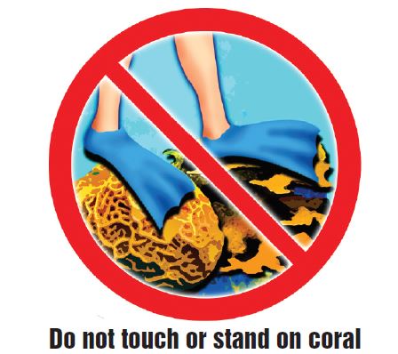 Covediver's Log: Please Don't Touch the Coral