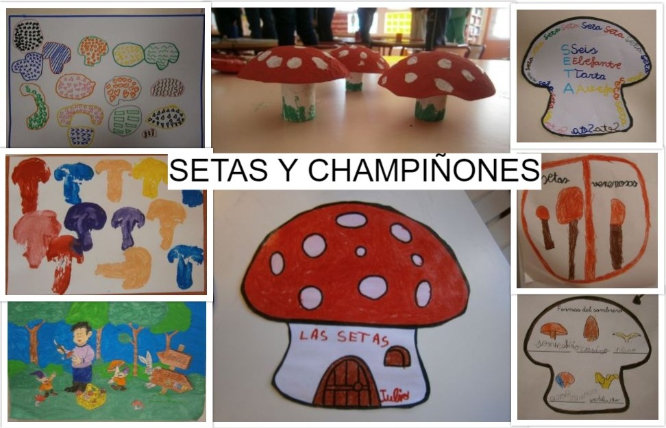 LA CLASE DE MIREN: mis experiencias en el aula: PROYECTO LAS SETAS ...