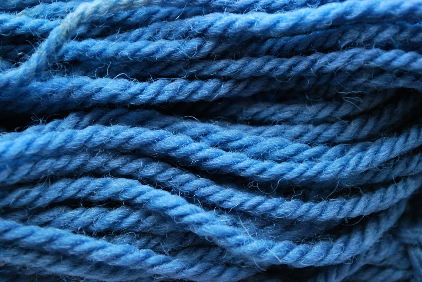 I Am Kate: How to Make Blue Using Black Turtle Beans