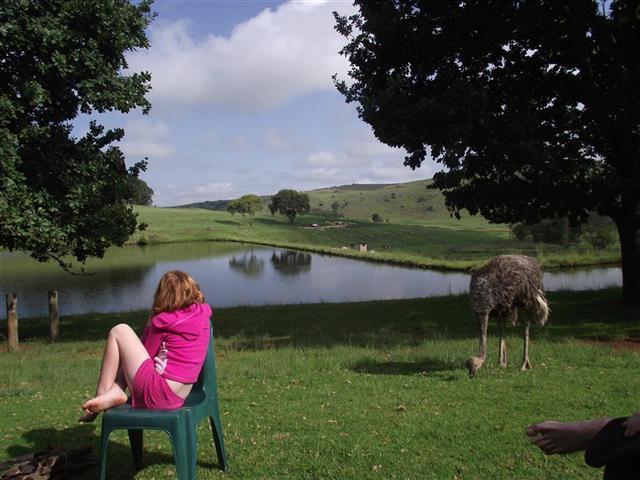 Thoughts and ramblings from the little voices in my head.: Bike Ride 9 ...