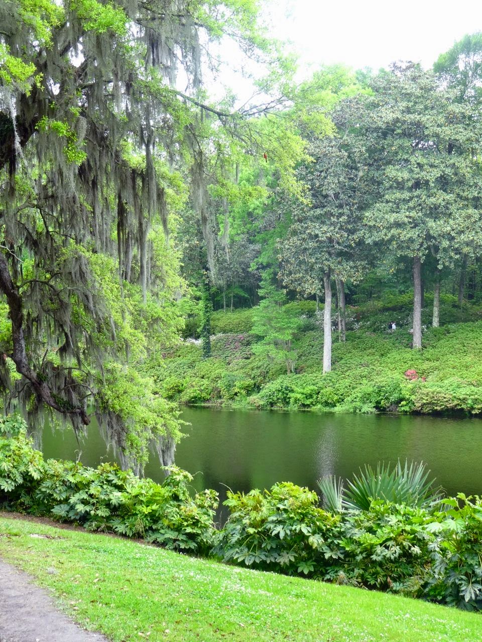 Scrumpdillyicious: Middleton Place & Gardens: A National Landmark