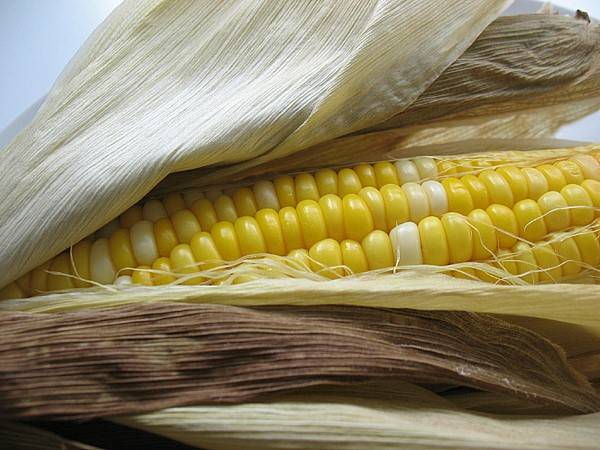 Cochimochi's Kitchen: Hornear elotes junto con hojas y pelo - riquísimo ...