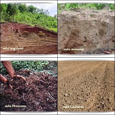Observatório Histórico Geográfico: Tipos de Solo
