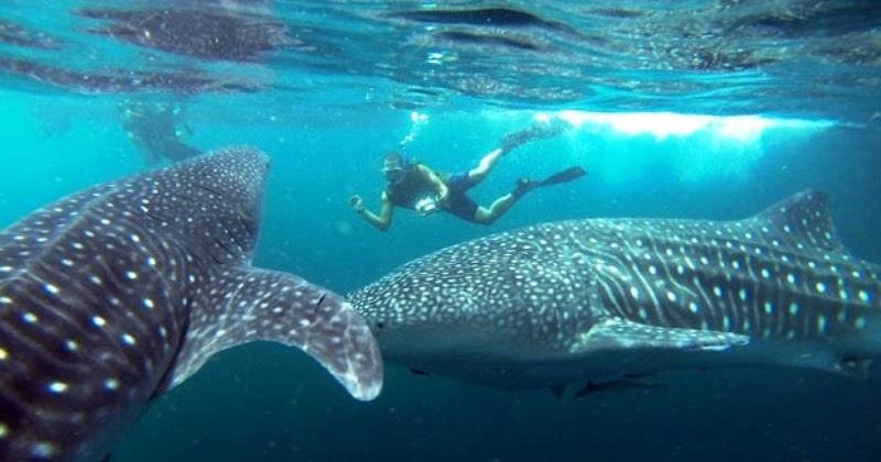 Beberapa Tempat Wisata Yang Mempesona Di Nabire, Papua