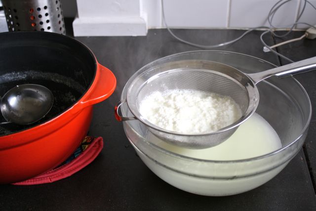Dollop of Cream: homemade ricotta cheese