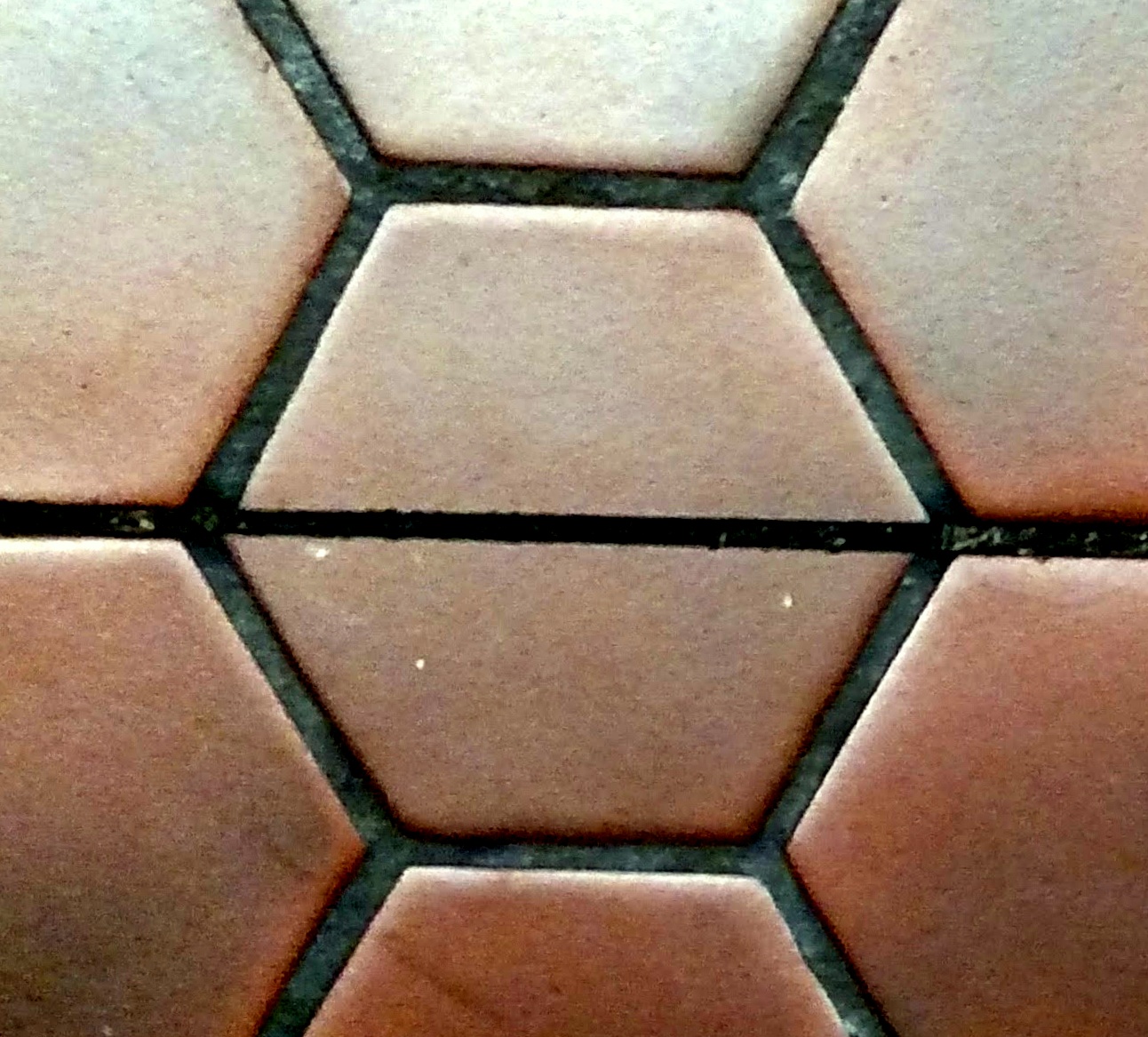 The Mathematical Tourist: Splitting a Hexagon